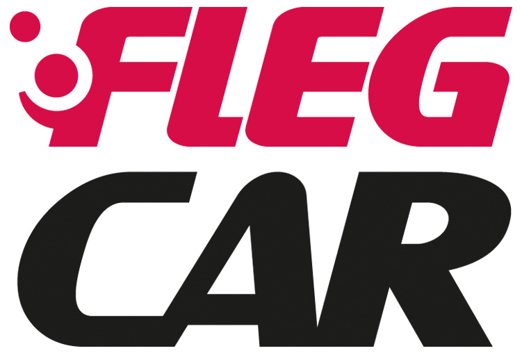 R/C auta Fleg - gamehouse.cz